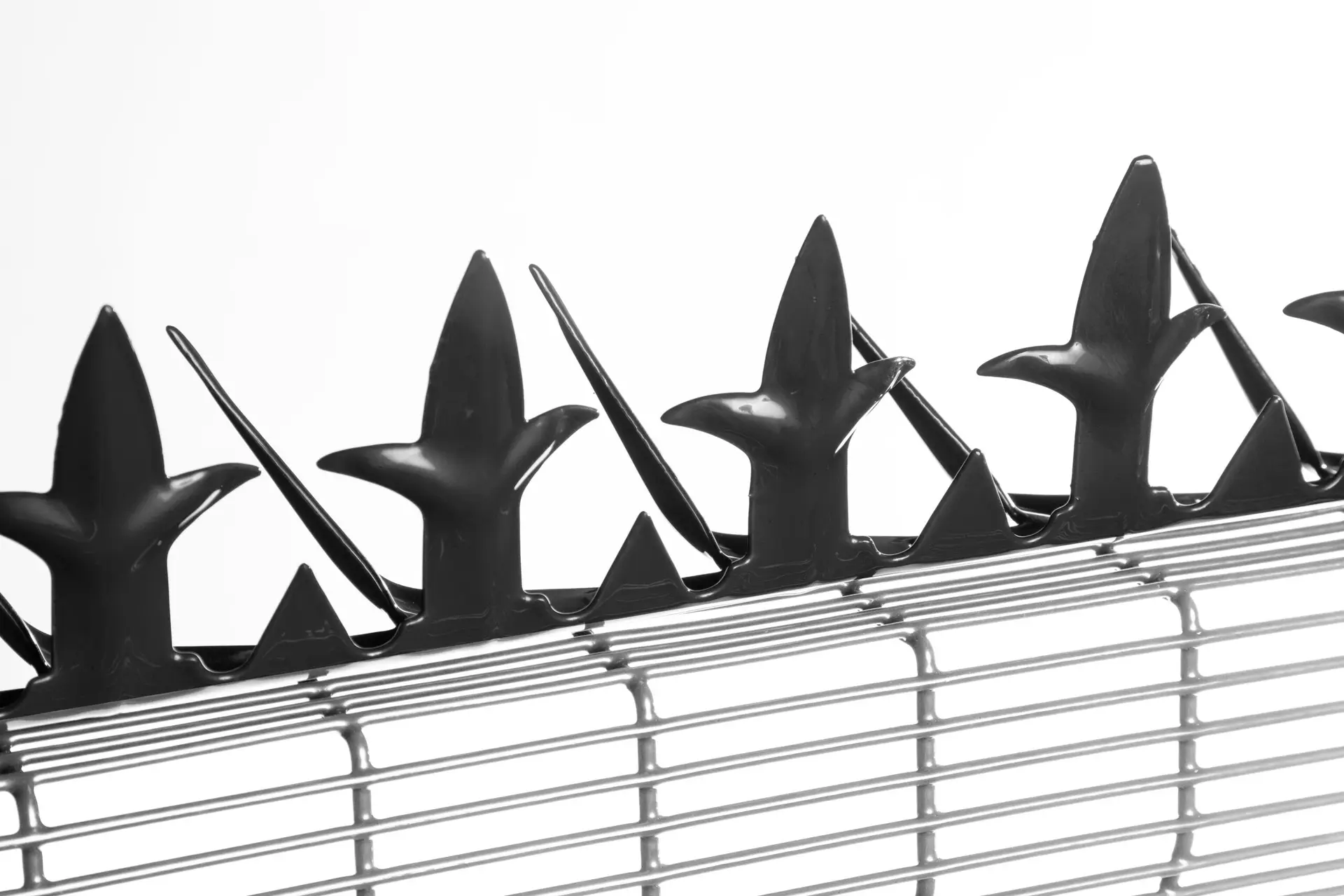 Spike Only | wall spikes | fence spikes | security spikes